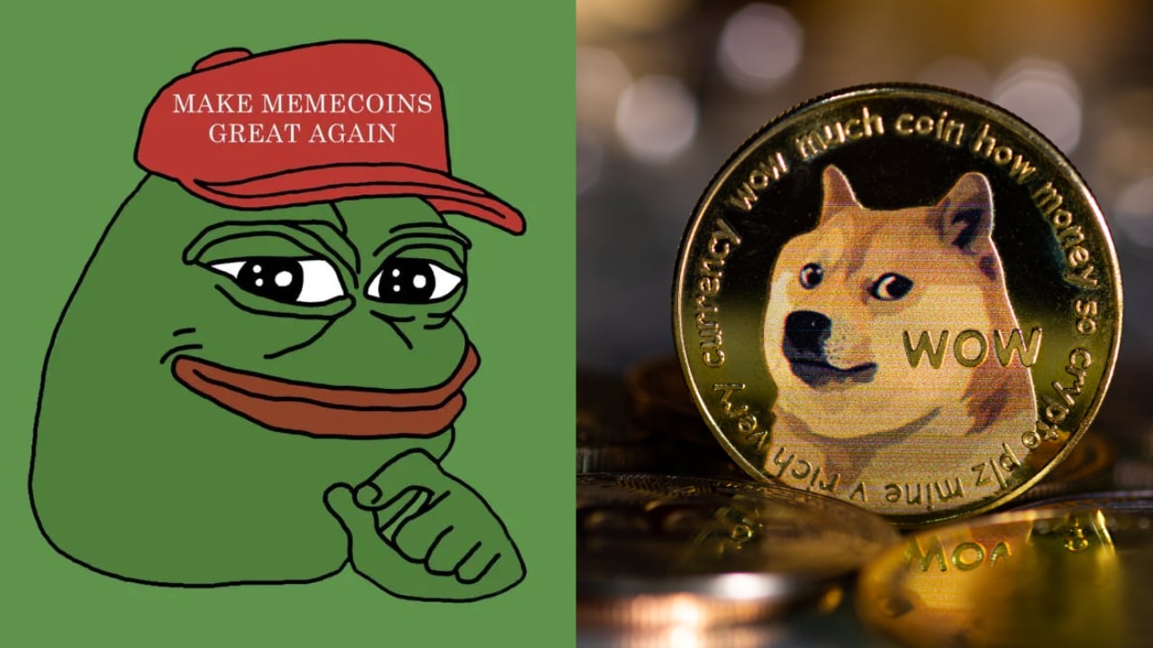 Doge Coin vs Pepe Coin, Which One is Better