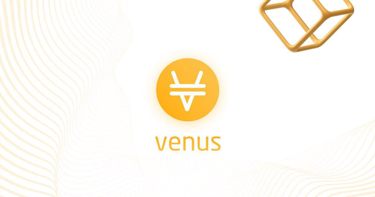Venus XVS Coin Price Increases