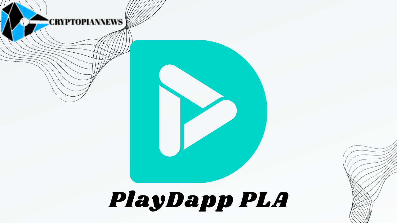 Master PlayDapp: Dive into Interactive Joy