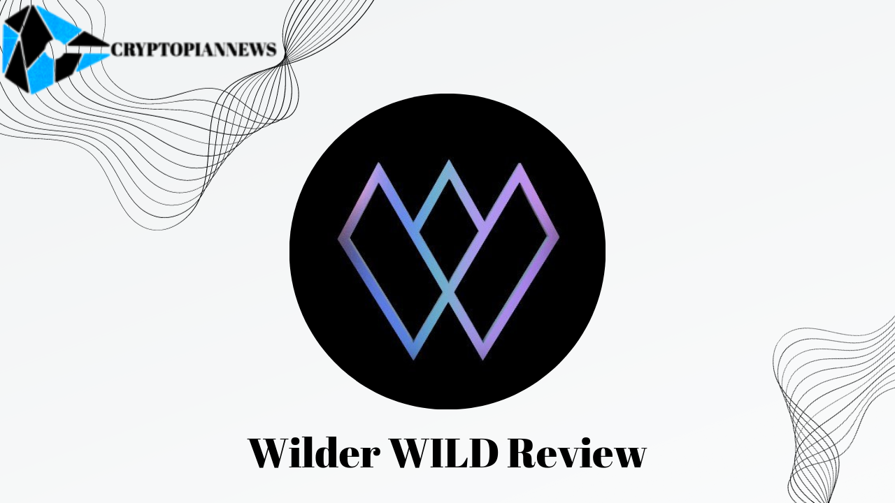 Dive into the Untamed Beauty of Wilder World