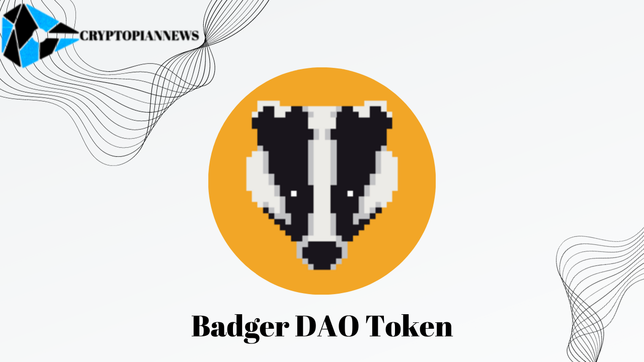 Mastering Badger Finance: Insider Tips and Tricks
