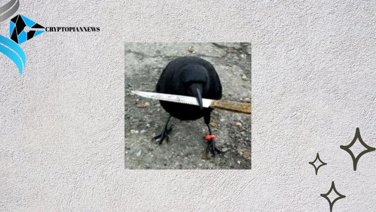 World of Crow with Knife: Explore the Mystery