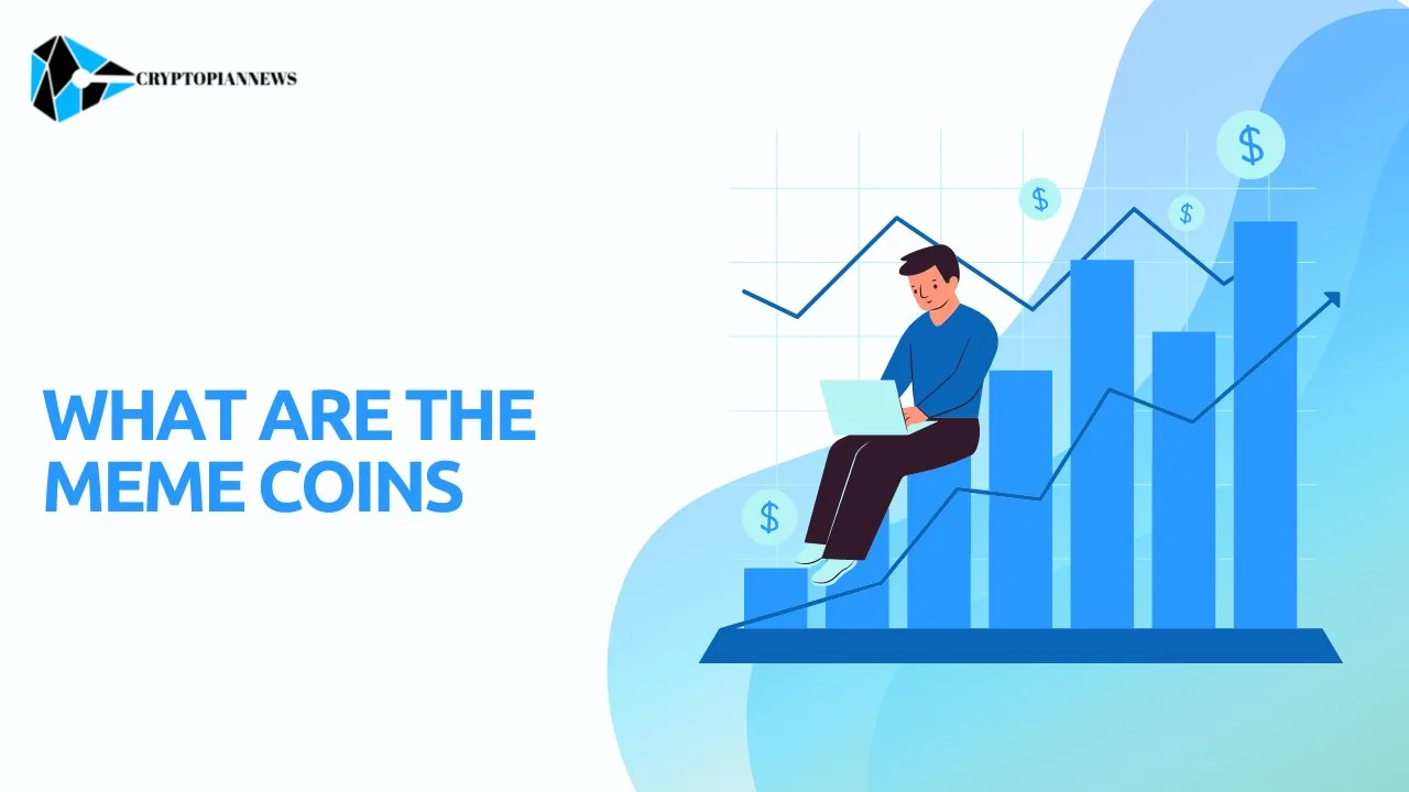 Understanding Meme Coins